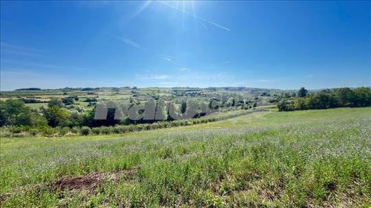 Mladenovac-Šepšin-1.15ha