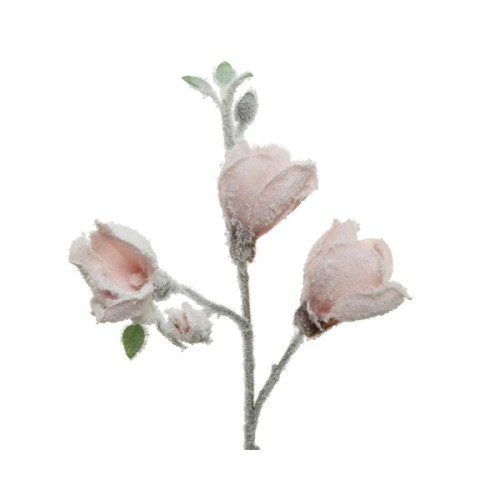 22021200 GRANA MAGNOLIJE, ROZE