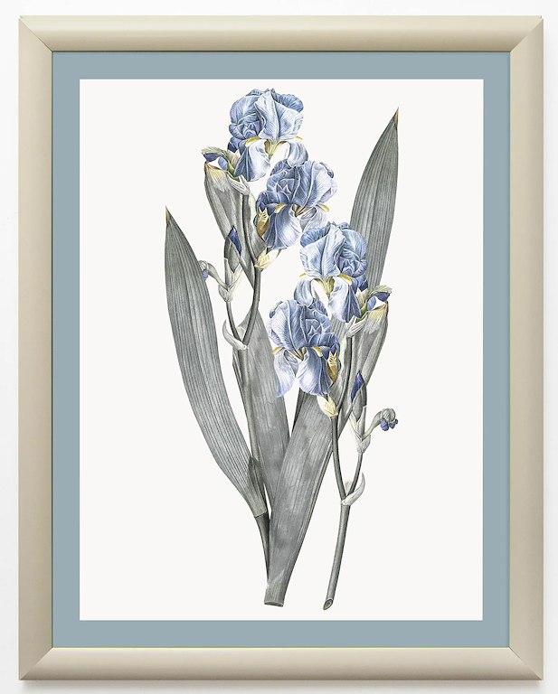 Home Gallery Slika ''Iris'' na prirodnom platnu 23x29cm