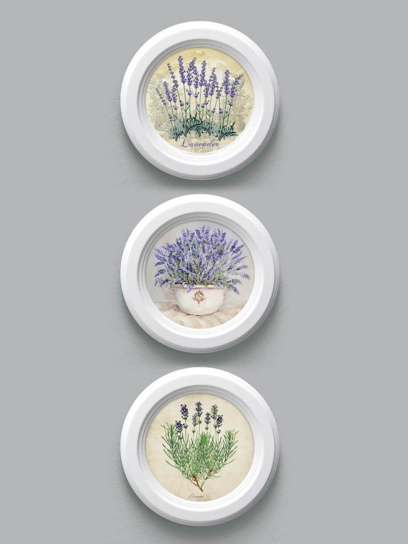 Home Gallery Set od 3 mini slike "Lavanda u belom okviru" 17.5cm