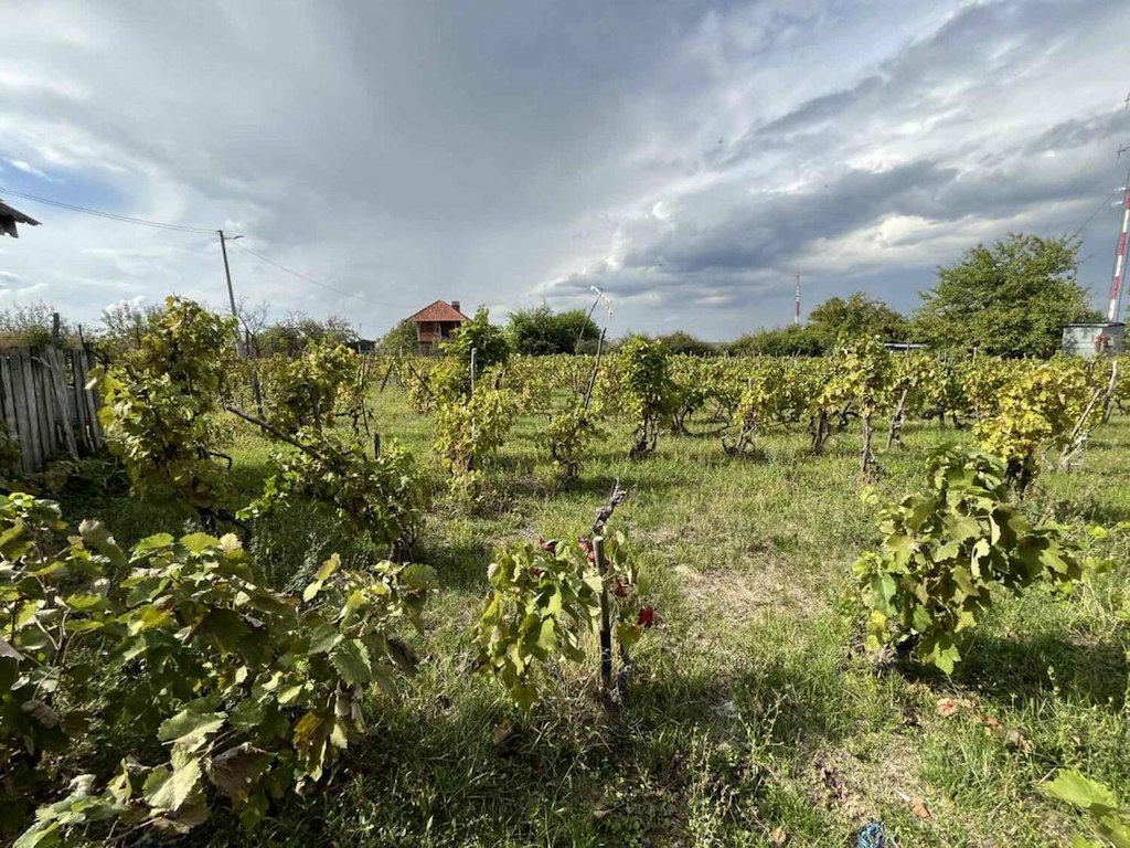 Vikendica sa prelepim placem i pogledom na Jagodinu