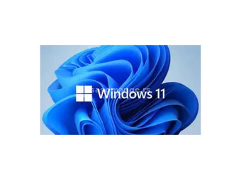 Microsoft Windows 11 Pro 64bit Eng Intl OEM DSP DVD (FQC-10529)