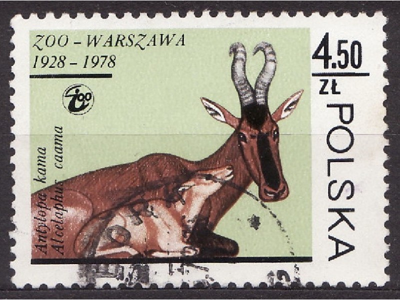 Poljska - zoo vrt 1978.