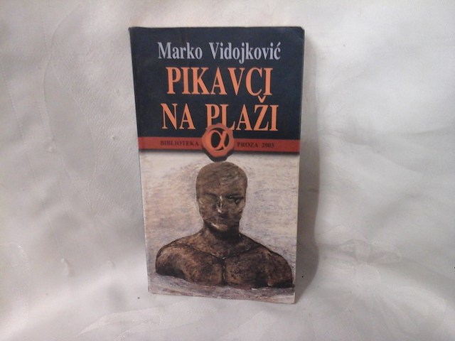 Pikavci na plaži Marko Vidojković potpis autora