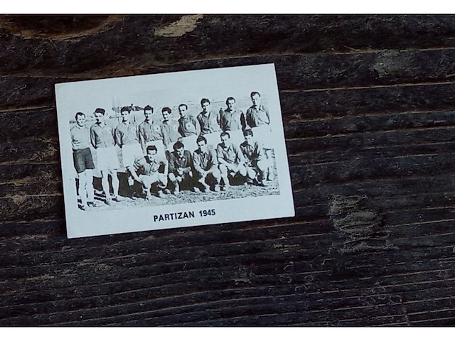 SLICICA PARTIZAN 5 ZIVA i LEPA