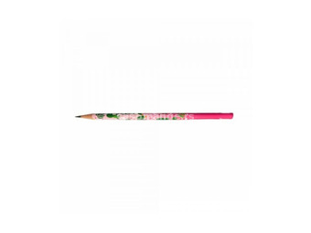 Grafitna olovka Faber Castell Cactus 2B 57000