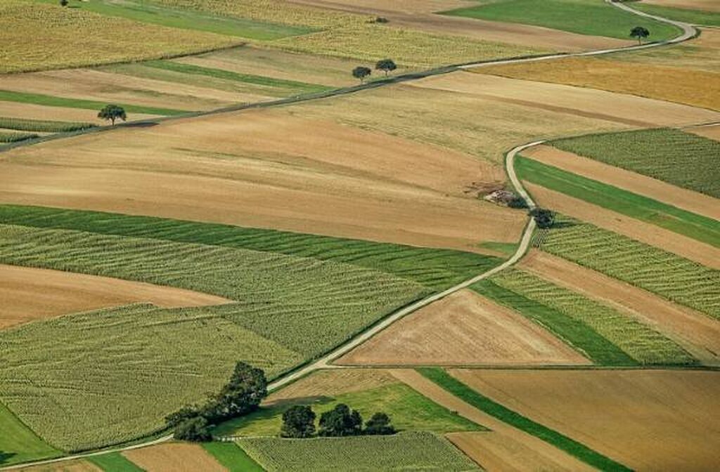 864 ares, Poljoprivredno zemljište, Vlasnik