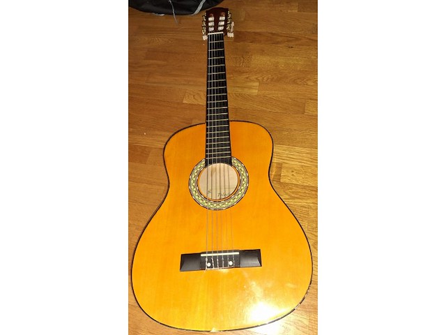 Gitara za decu Toledo Primera Student 34