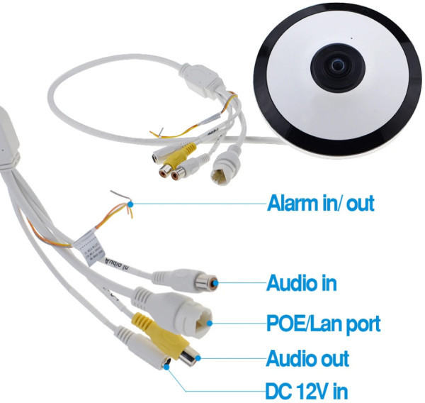 Dahua Kamera IPC-EW5541-AS, Panorama, IP, IC LED-10M, 5MP, sa mikrofonom, SD CARD, Heat Map funkcija