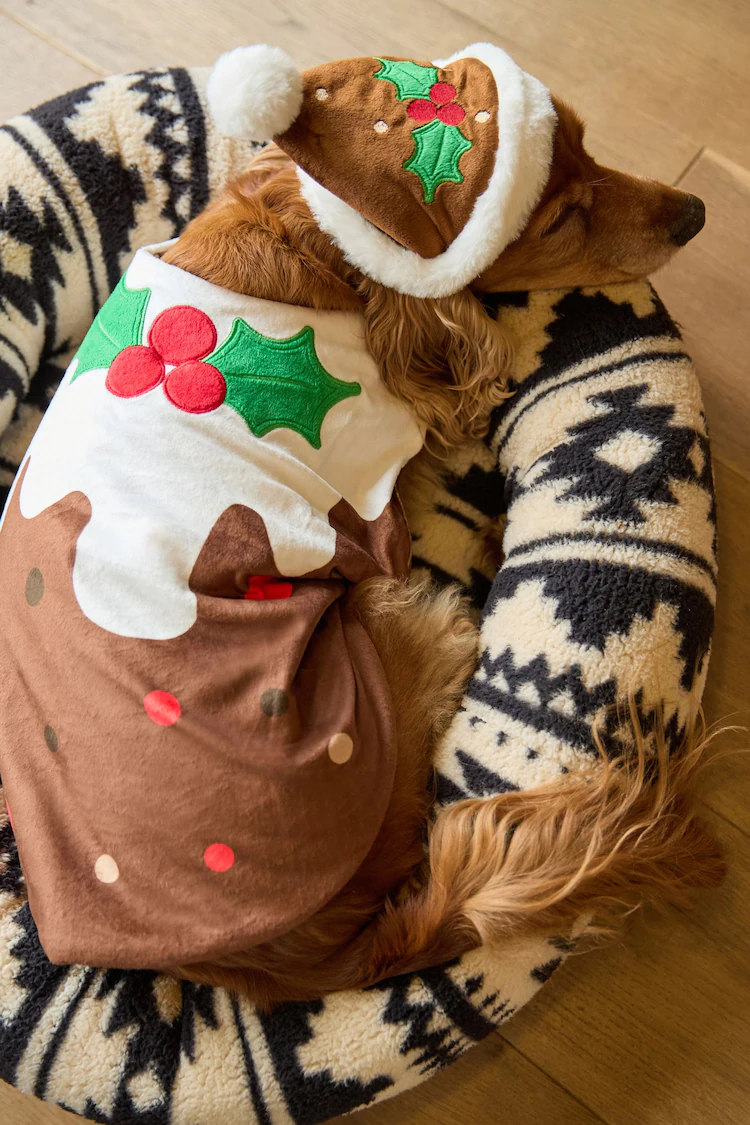 Brown/Cream Christmas Pudding Dog Fancy Dress