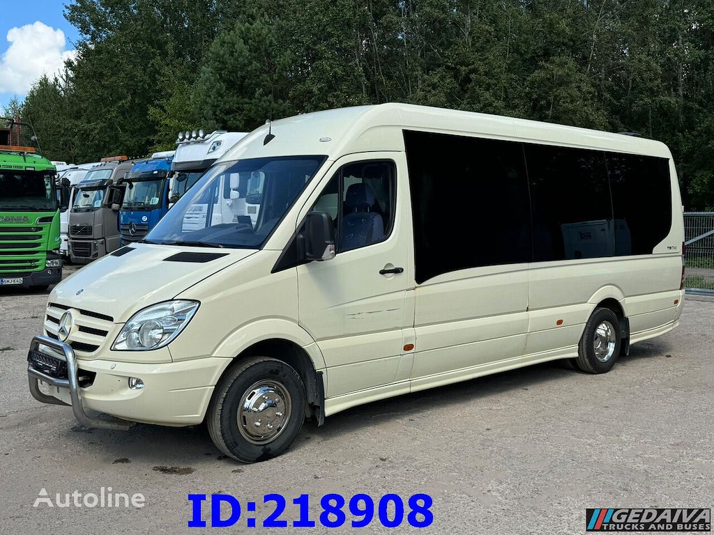 Mercedes-Benz Sprinter 519 VIP 18-Place Prostyle Euro5 turistički autobus