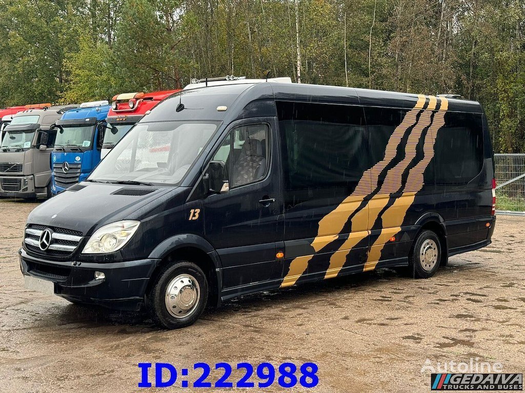 Mercedes-Benz Sprinter 519 VIP - 17 Seater putnički minibus