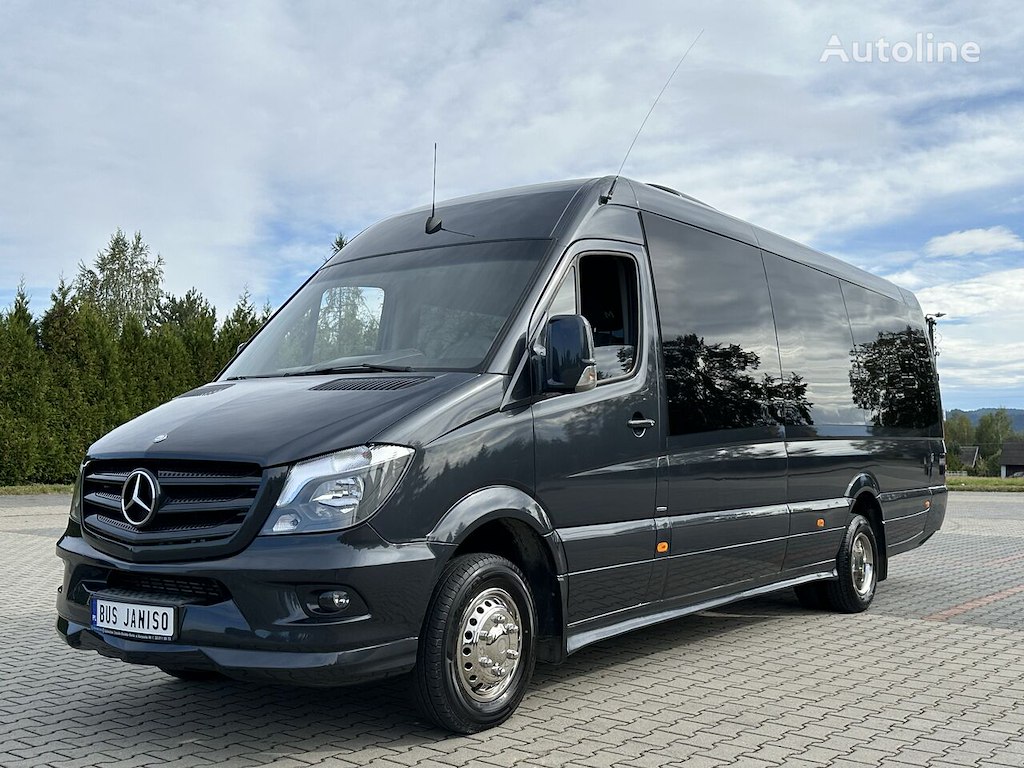 Mercedes-Benz Sprinter 519 CDI 3.0 V6 putnički minibus