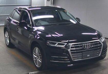 Audi Q5 krosover