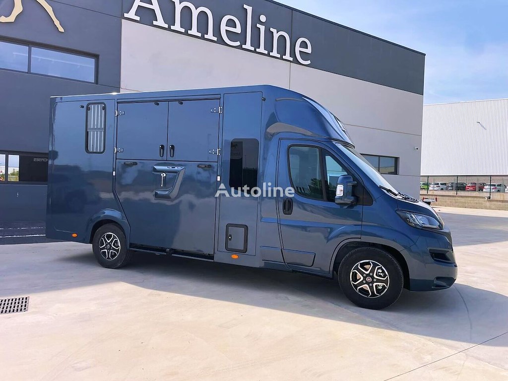 Novi FIAT AMELINE HORSETRUCK 4250KG vozilo za prevoz konja