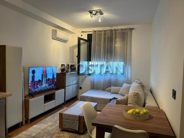 Sazonova, Dvoiposoban stan za izdavanje, 48m2, 800€