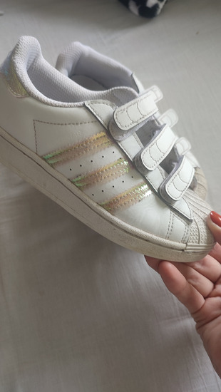 Adidas superstar 31