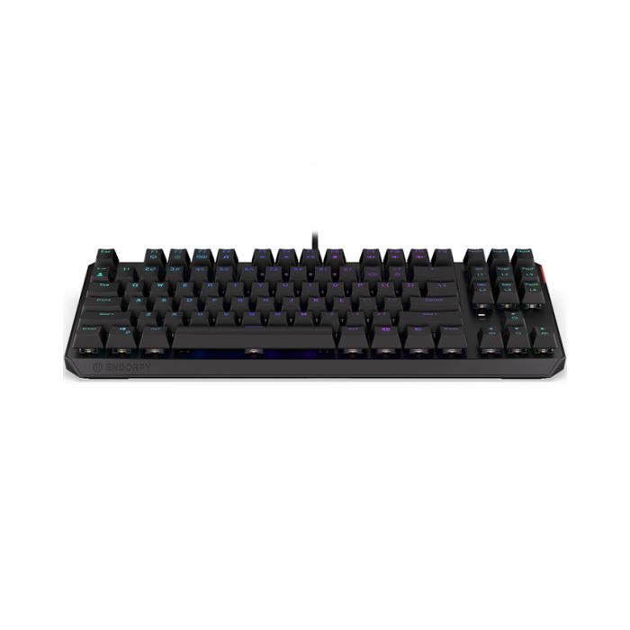 Tastatura Endorfy Thock TKL Blue RGB (EY5A001)