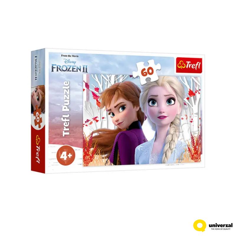 PUZZLE 60 DELOVA A THE ENCHANTED WO.T17333