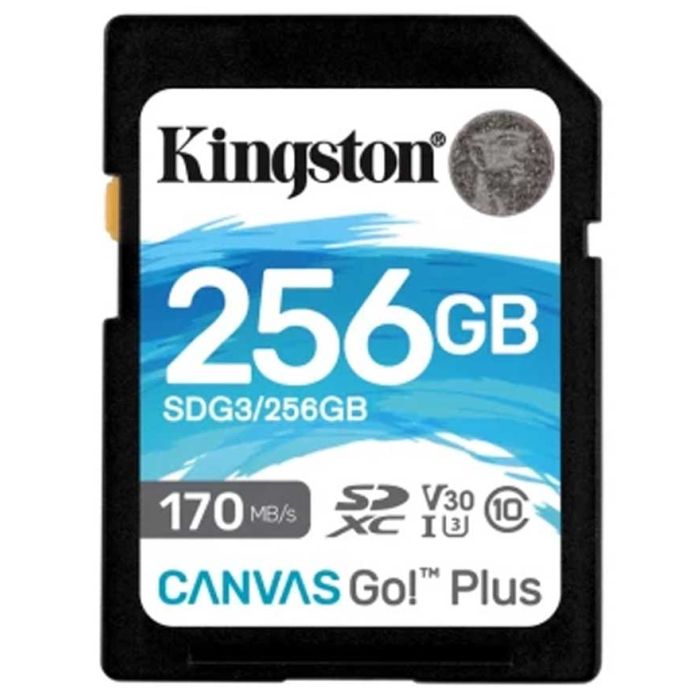 Memorijska kartica Kingston 256GB SDG3/256GB class 10