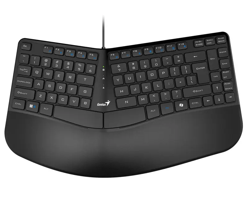 GENIUS Ergo KB-700 USB YU crna tastatura