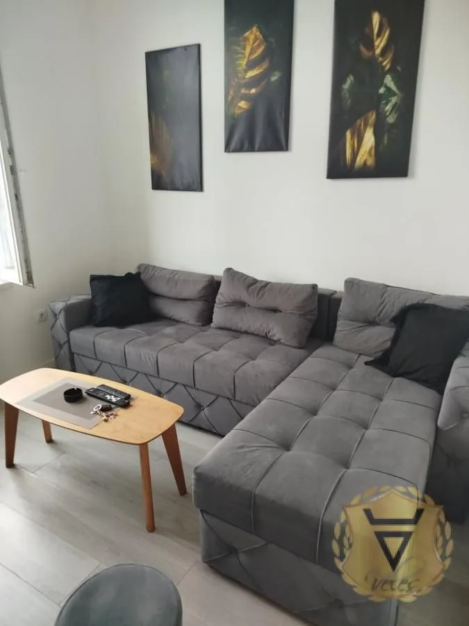 Izdavanje, dvosoban stan, 38m2, Skadarlija, Beograd