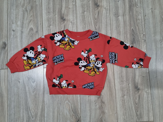 Duks mickey maus