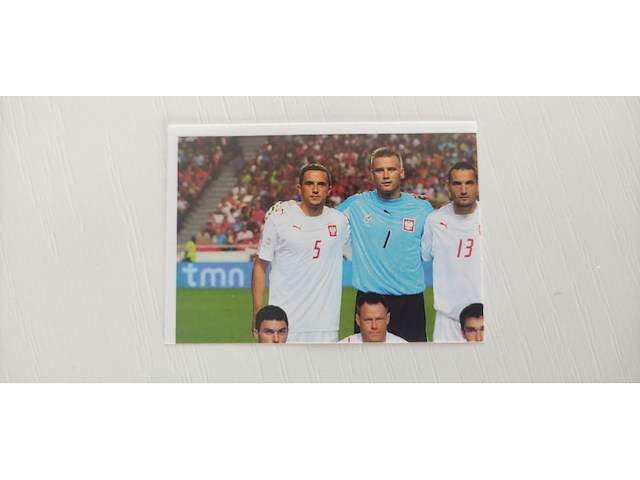 Panini EURO 2008 sličica broj 229