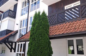 Prodajem Stan-Apartman, Zlatibor