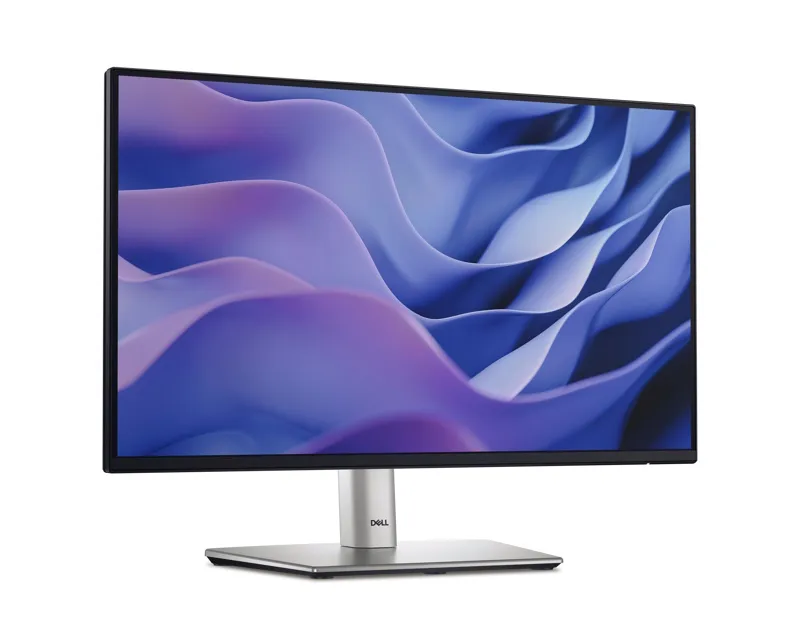 DELL 21.5 inch P2225H 100Hz Professional IPS monitor