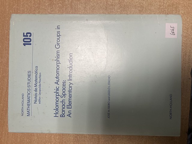 holomorphic automorphism group in banach space