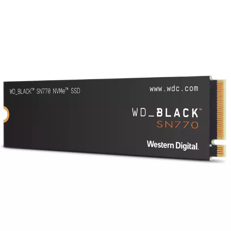 WD 2TB M.2 NVMe Gen4 WDS200T3X0E SN770 Black