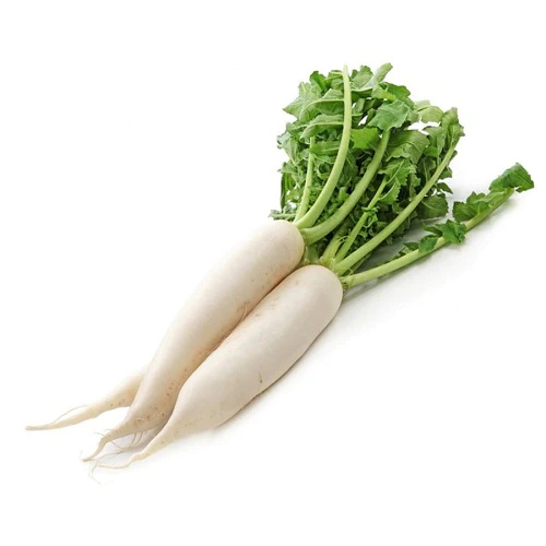 * Daikon rotkva