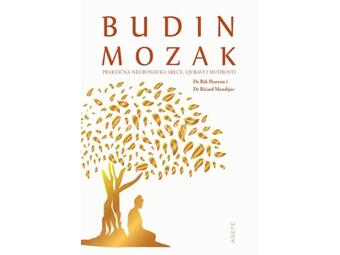 Budin mozak