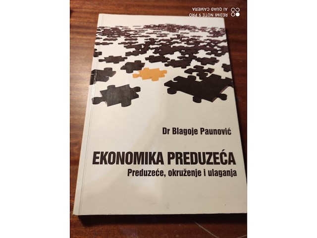 Ekonomika preduzeća Paunović