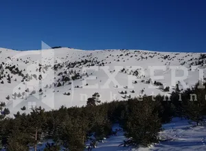 Prodaja Građevinsko zemljište - Zlatibor