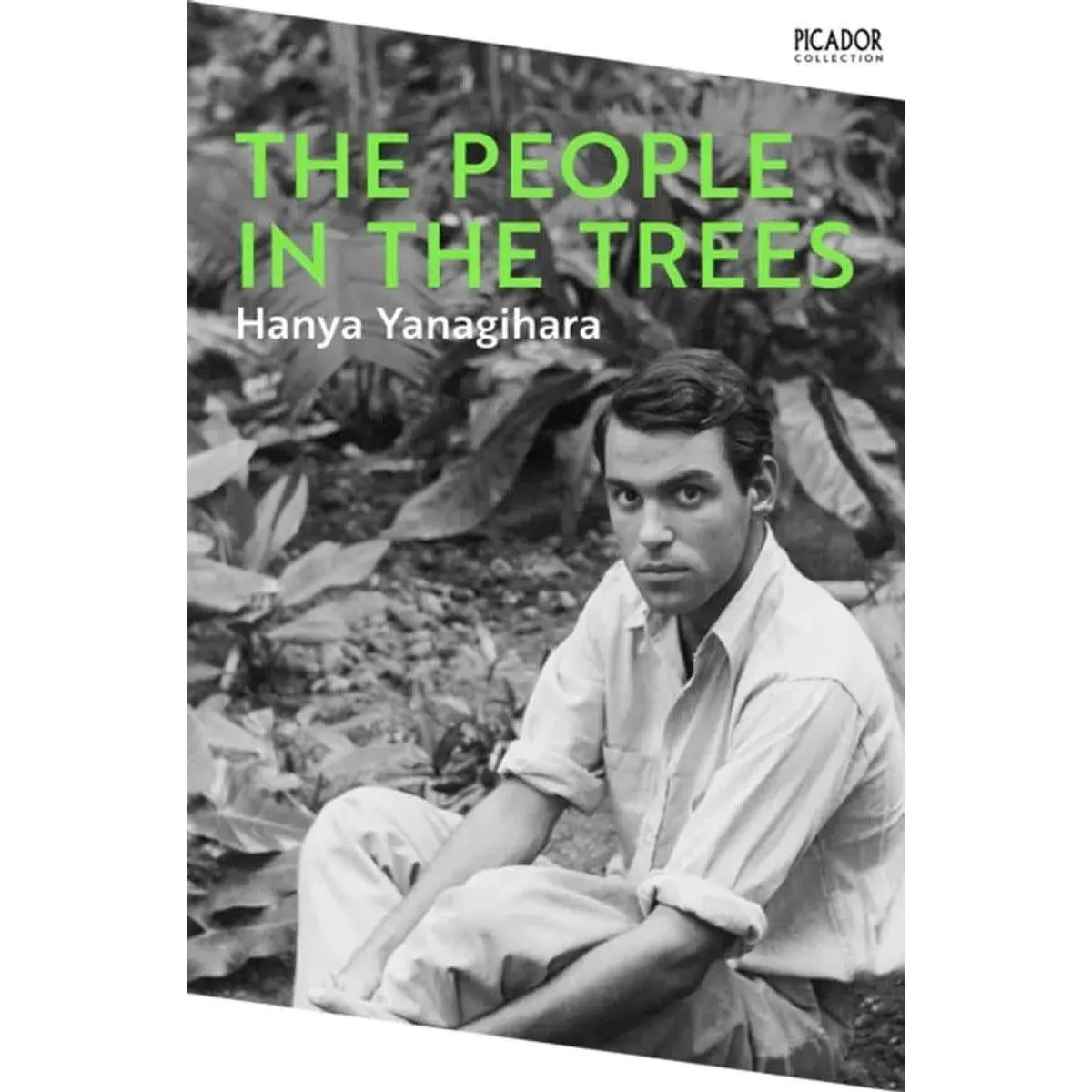 THE PEOPLE IN THE TREES