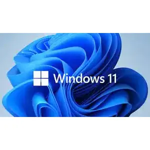 Microsoft Windows 11 Pro 64bit Eng Intl OEM DSP DVD (FQC-10529)