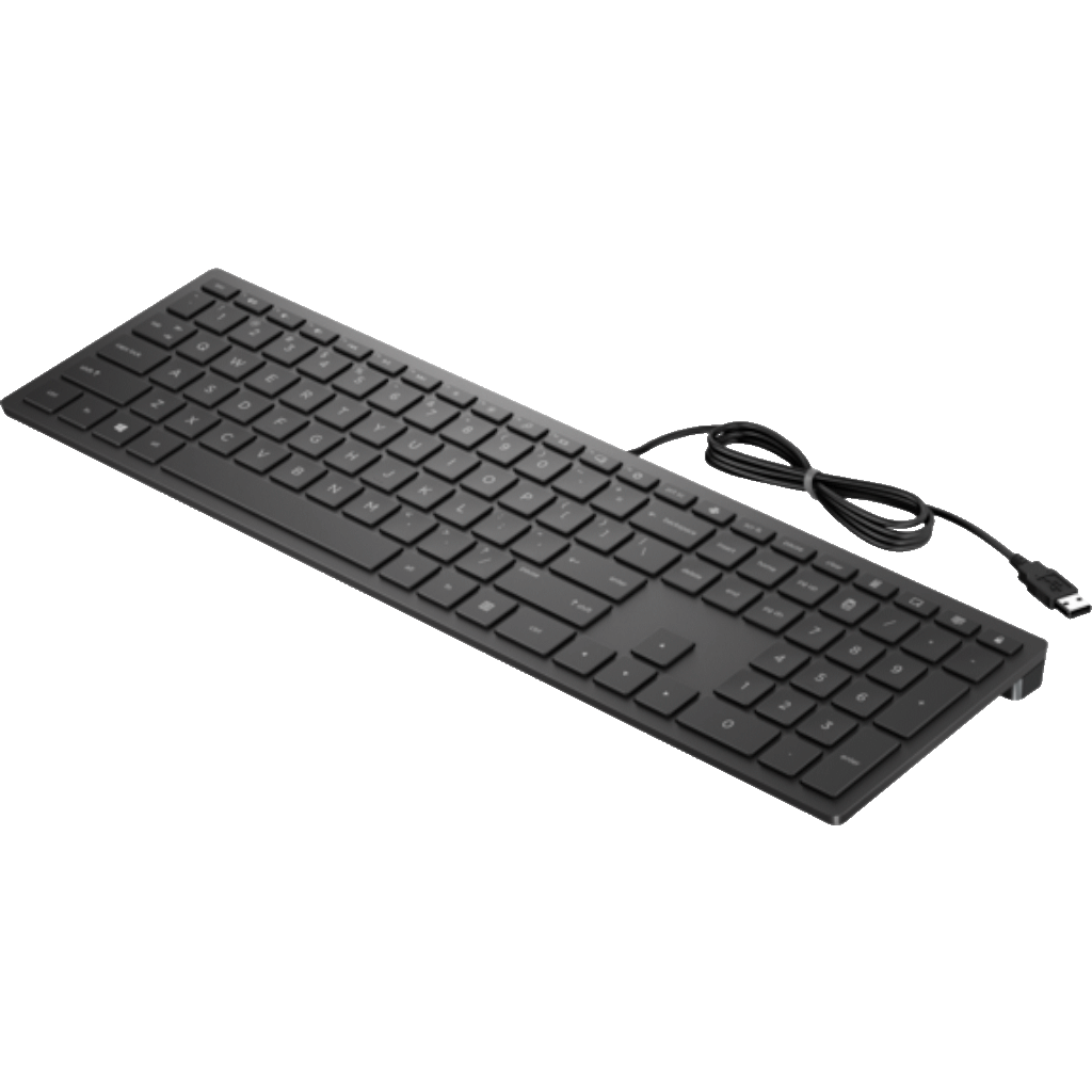 Tastatura HP Pavilion 300/žična/4CE96AA/SRB/crna