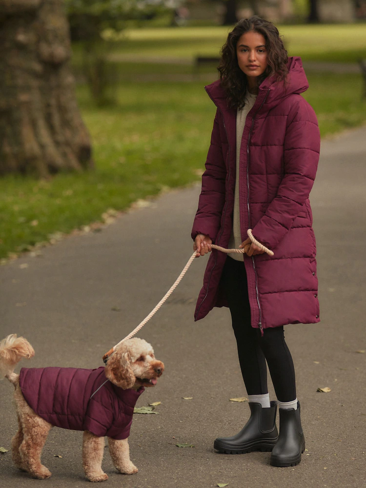 Berry Red Padded Dog Coat