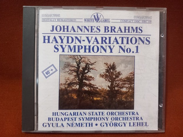 Johannes Brahms - Haydn Variations / Symphony No.1