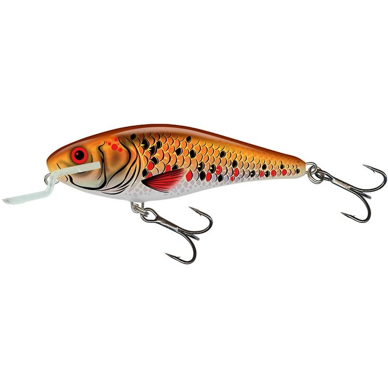 SALMO EXECUTOR 9SR – HOLOGRAPHIC GOLDEN BACK