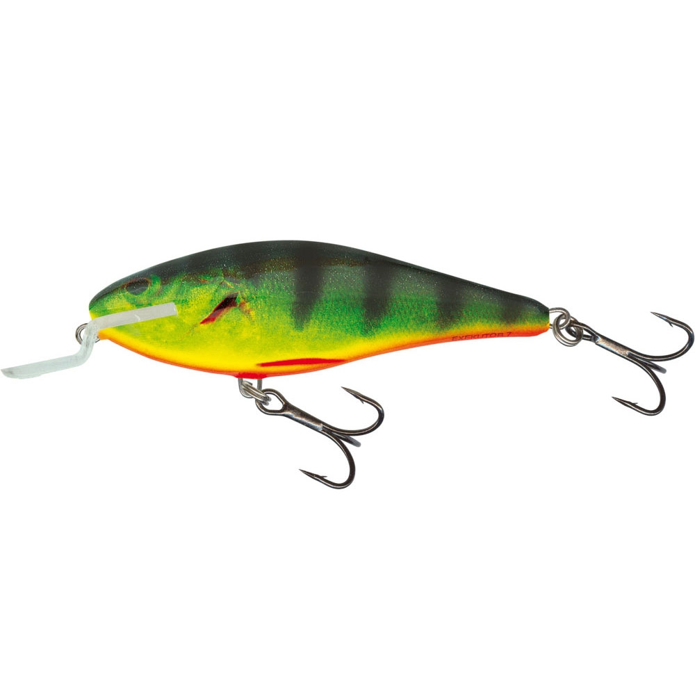 SALMO EXECUTOR 9SR – REAL HOT PERCH