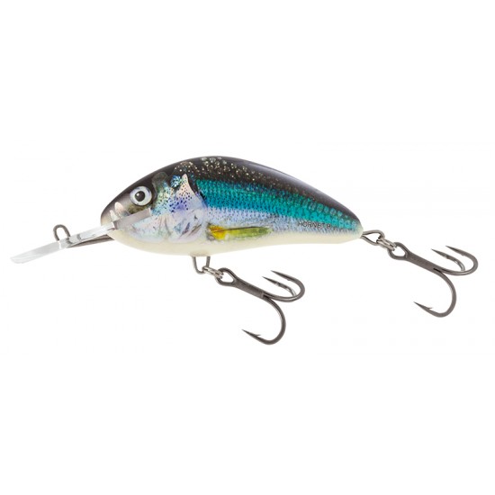 SALMO HORNET 9F – HOLO SMELT