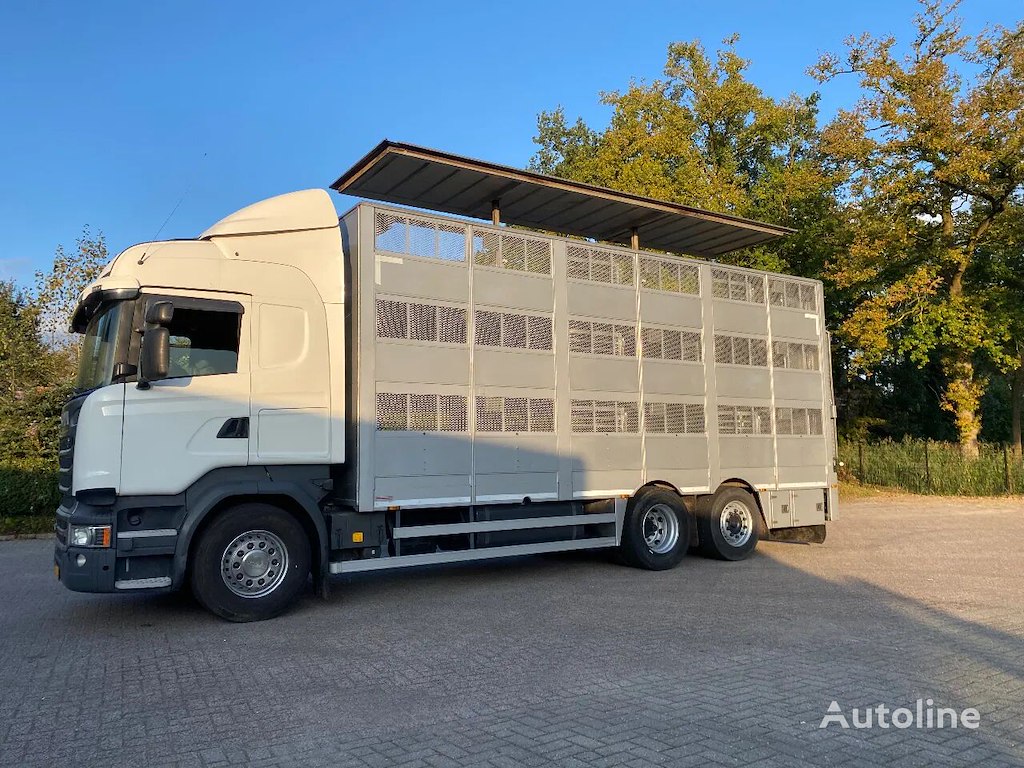 Scania R490 Berdex Hefdak 1/2/3 stock veewagen Retarder kamion za prevoz stoke