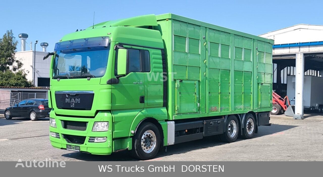 MAN TGX 26.480 kamion za prevoz stoke