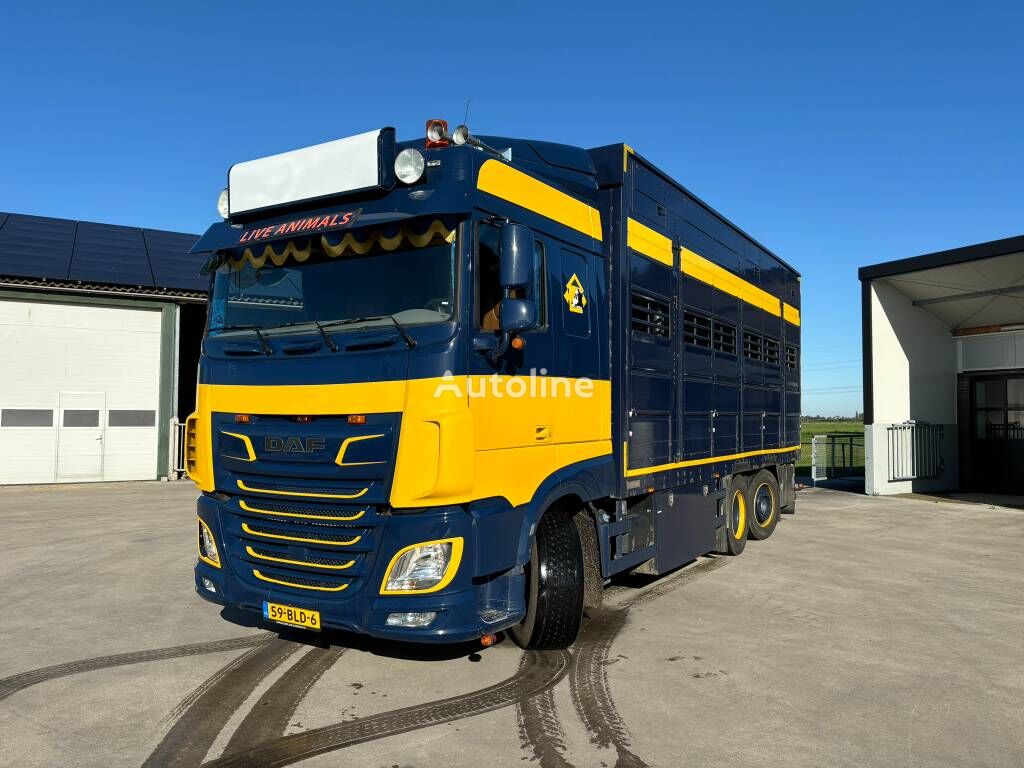 DAF XF480 FAN 6x2 NL truck 3 decks livestock retarder kamion za prevoz stoke