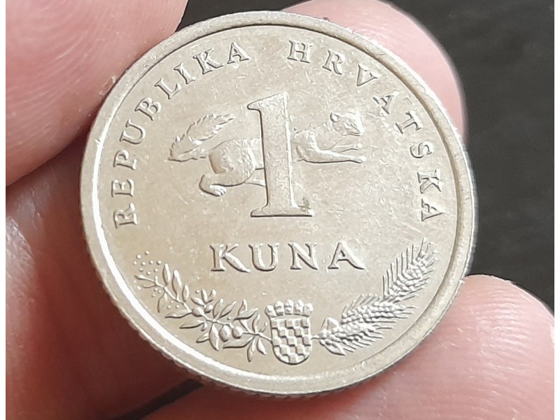 Hrvatska, 1 kuna 2004, jubilarac