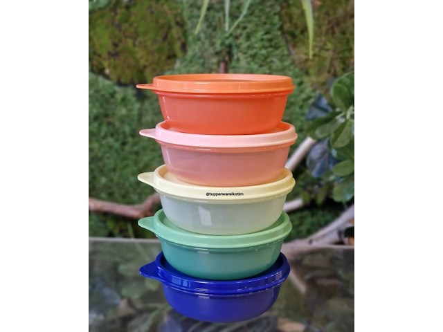 Tupperware set višenamenskih činija 5x300ml