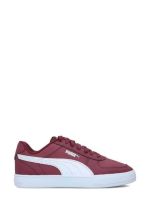 Puma caven